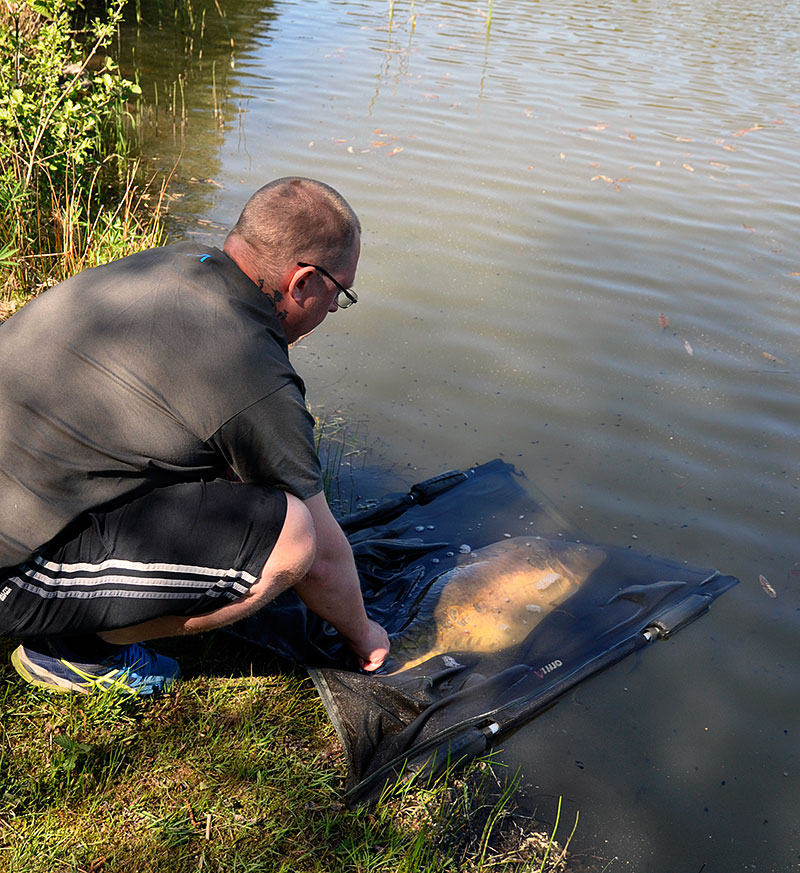 Vinterpepp och sommarminnen - Mangotssons KarpbloggMangotssons Karpblogg